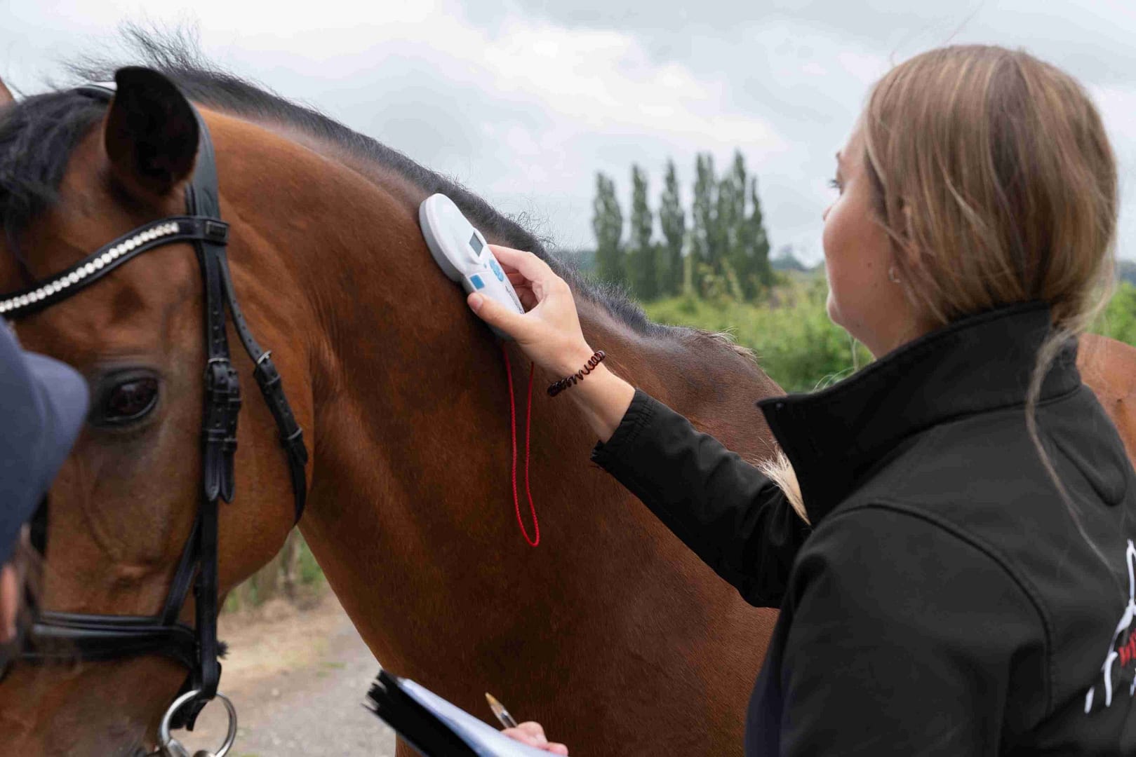 Passports & Microchipping | Frome Equine Vets